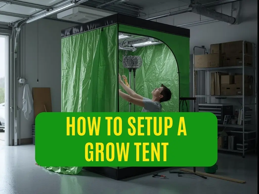 How to Set Up Grow a Tent: A Complete Step-by-Step Guide - Khlorifica Blog